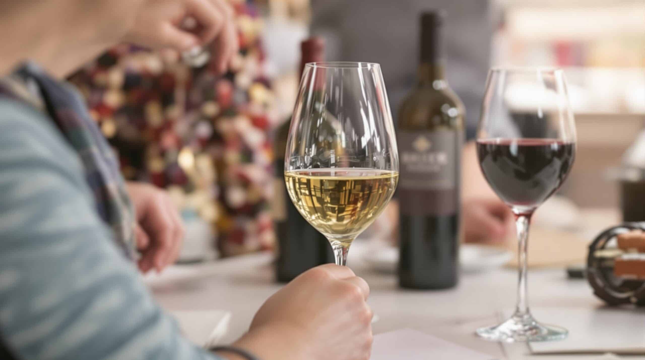 WSET : Guide complet pour réussir votre certification en vins et spiritueux